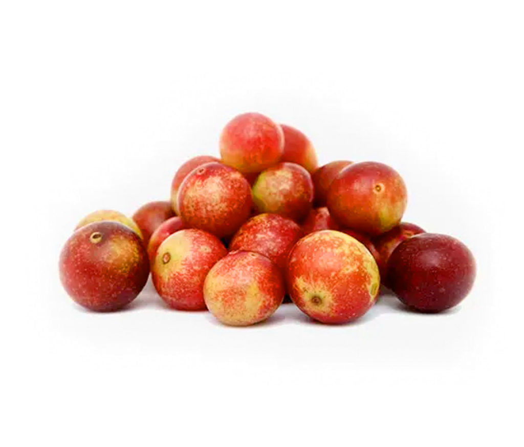 Harina de Camu Camu - Qomer Harina de Camu Camu - Qomer